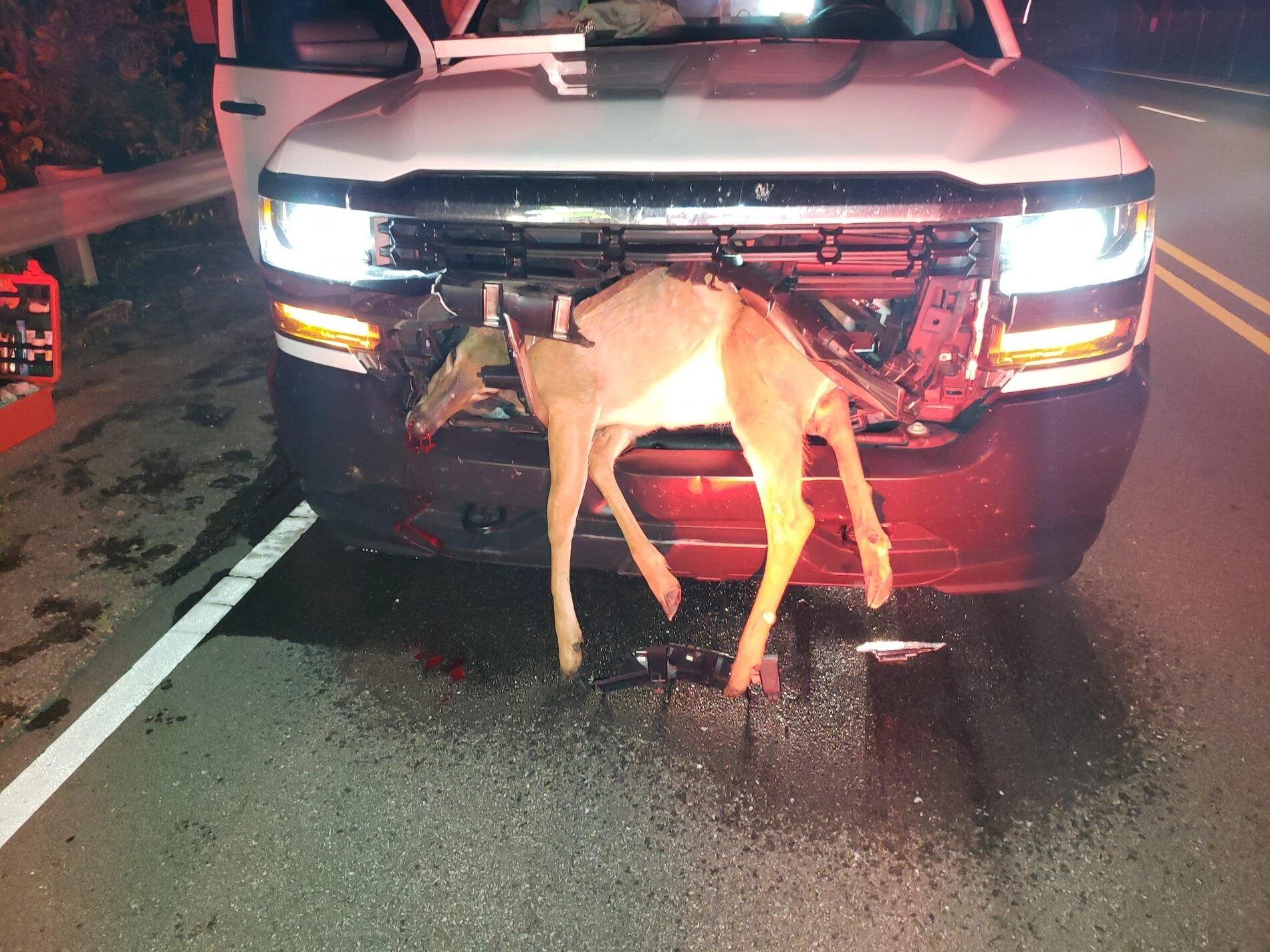 Collision Avoidance needs to add deer detection | 2019+ Ford Ranger and ...