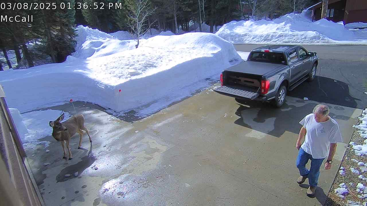 Rangers in SNOW | Page 81 | 2019+ Ford Ranger and Raptor Forum (5th ...