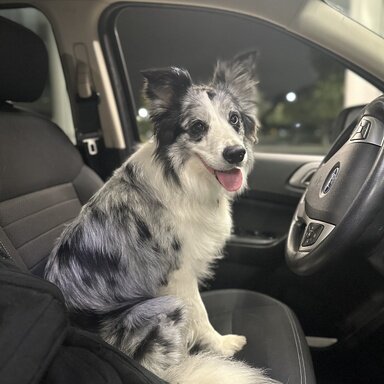 4 to 8 inch infotainment upgrade 2019 Ranger | 2019+ Ford Ranger and ...